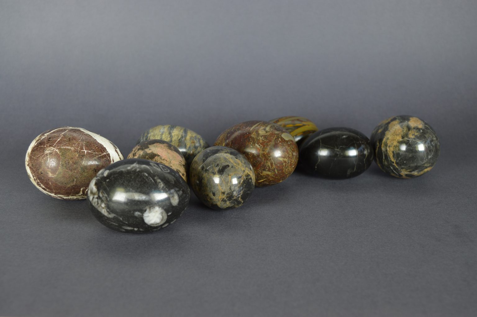 Orthoceras fossiele inkvis, marmer en jaspis - minerale eieren - Bodour